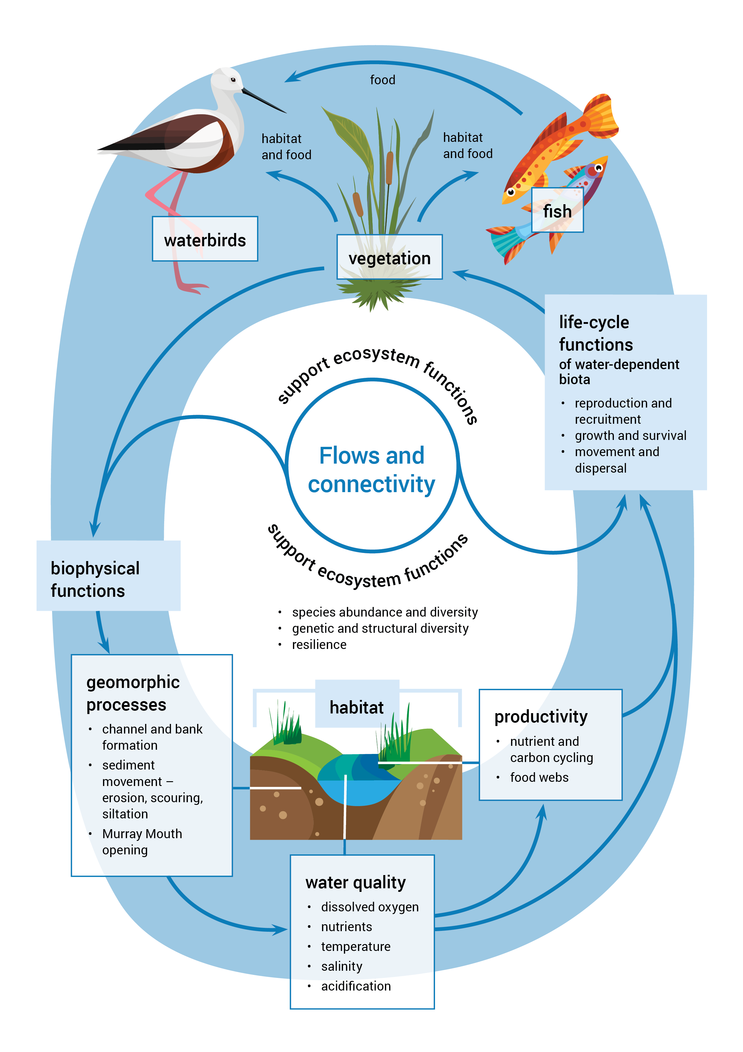 Understanding and managing water for the environment, people and ...