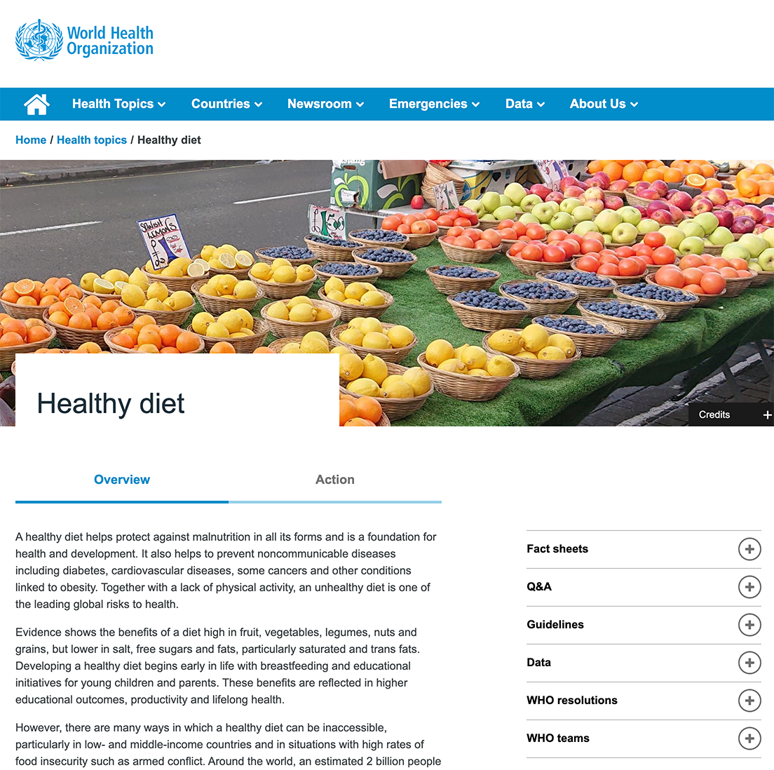Working on the world stage – World Health Organization and United ...